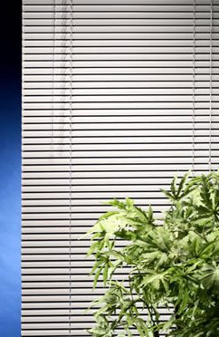 Store vénitien PVC LXH 120X175